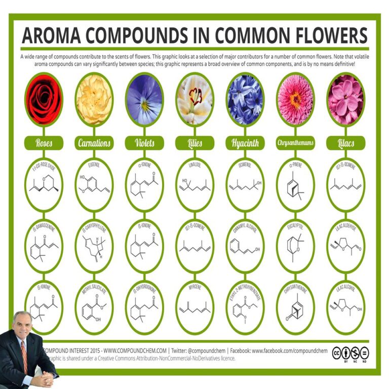 Os compostos químicos por trás do aroma das flores! - IVEPESP